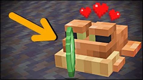 Download Minecraft Pe 1 19 For Android Release