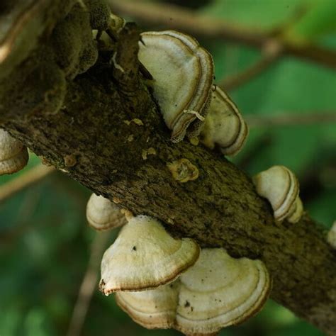 이름을 알려주세요