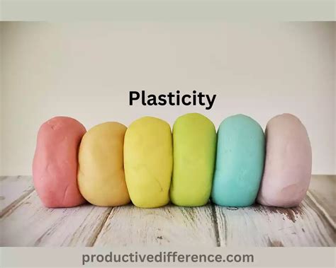 Difference Between Plasticity And Elasticity Productive Difference