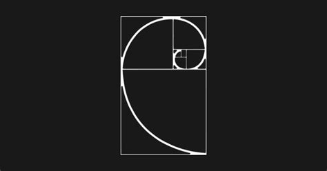 Fibonacci Curve Golden Cut Art To Draw T Shirt Teepublic