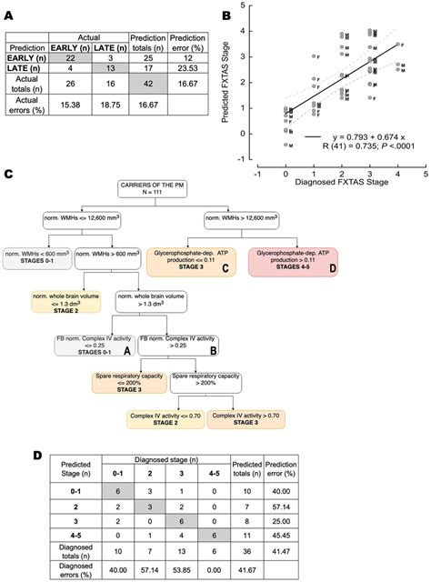Artificial Neural Network Prediction Of Fxtas Stages The Ann Utilized