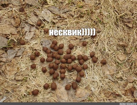 Создать мем "лосиный помет, помёт лосихи, помет косули помет лося ...