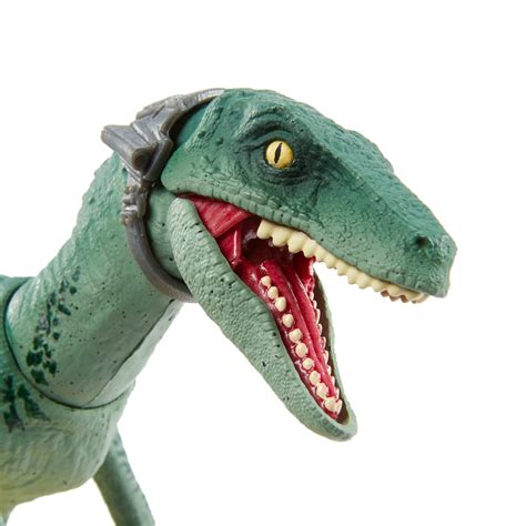 Buy Jurassic World Amber Collection Velociraptor Delta 6 In Collectible