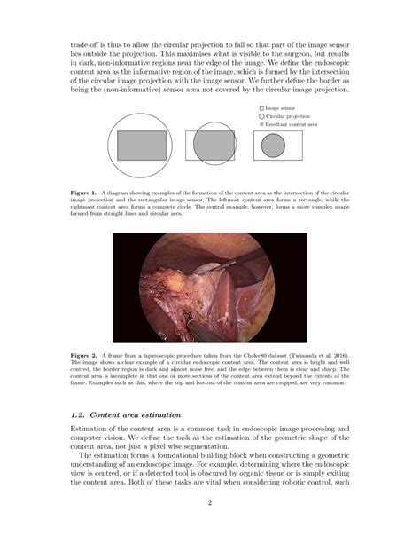 rapid and robust endoscopic content area estimation a lean gpu based