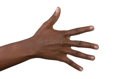Open Back Of Black Woman S Hand Stock Image Image Of High Palm 29270927