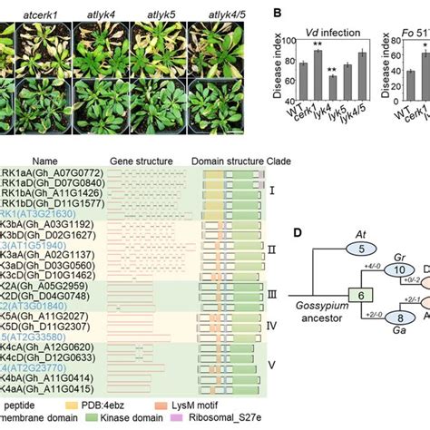 Libo Shans Research Works Texas Aandm University Texas Tamu And Other Places