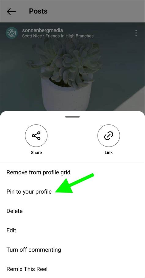Instagram Marketing How To Pin Posts And Reels To A Profile Social Media Examiner
