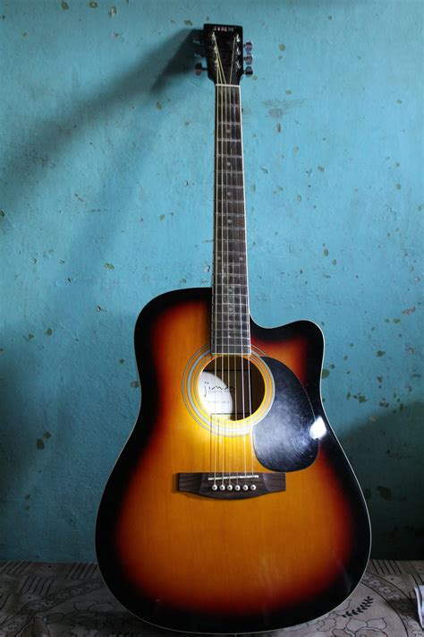 11 Most Expensive Acoustic Guitars in the World - Insider Monkey