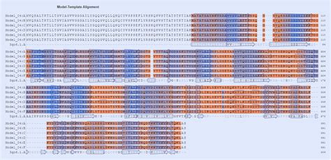 Secondary Structure Alignment Between Protease Models And Template Pdb