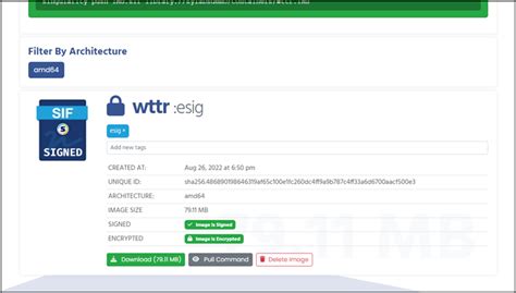 singularity container workflow part 5 running the tensorflow container