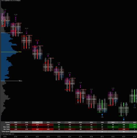 The Best Order Flow Footprint Indicator For Ninjatrader 8 Page 2 Tradedevils Indicators