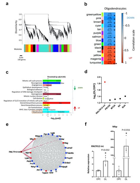 Network Analyses Of Differentially Expressed Retrotransposons And