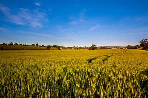 Lou Flohr Farmers For Climate Action