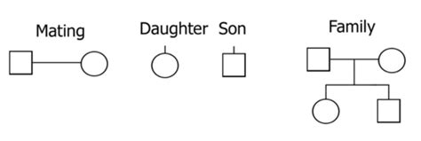 Pedigree Analysis Flashcards Quizlet