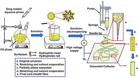 Electrospinning Processing Of Polymernanocarbon Nanocomposite