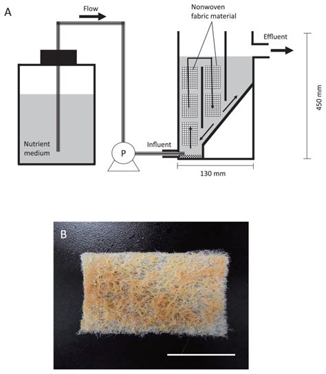 A Schematic Drawing Of A Continuous Feeding Bioreactor For Selective Download Scientific