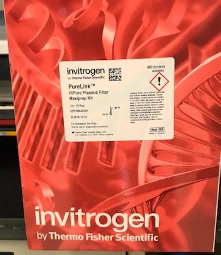 The Best Plasmid Prep Kits According To Our Product Reviewers