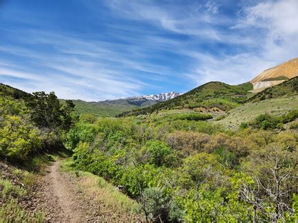 Rose Canyon Ultra Happy Trails Racing United States