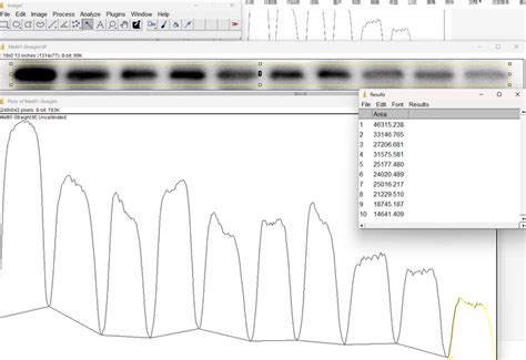 一文读懂！image J与wb图像的处理与分析 知乎