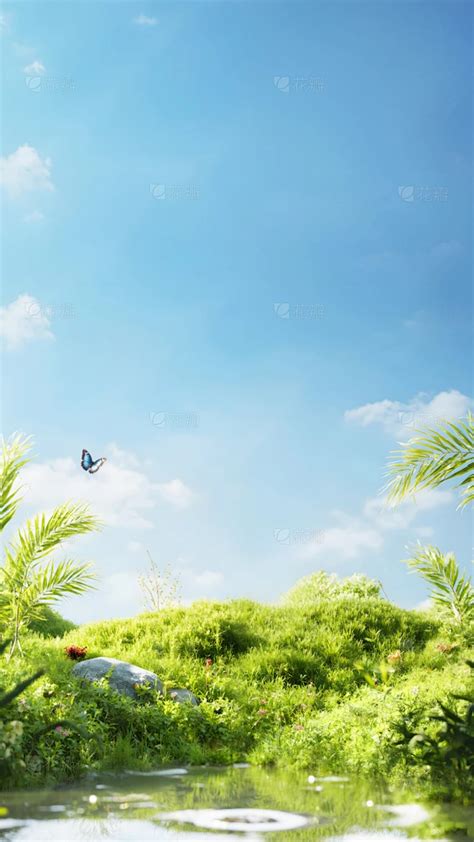 植物系列春日感蓝天下小池塘草地背景素材 花瓣网