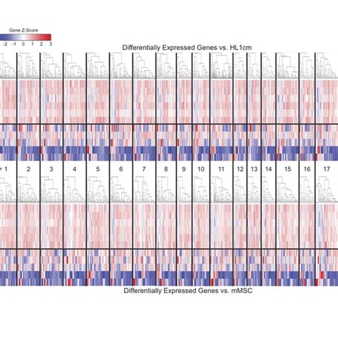 Figure S2 Hierarchical Clustering Of Differentially Expressed Genes Download Scientific
