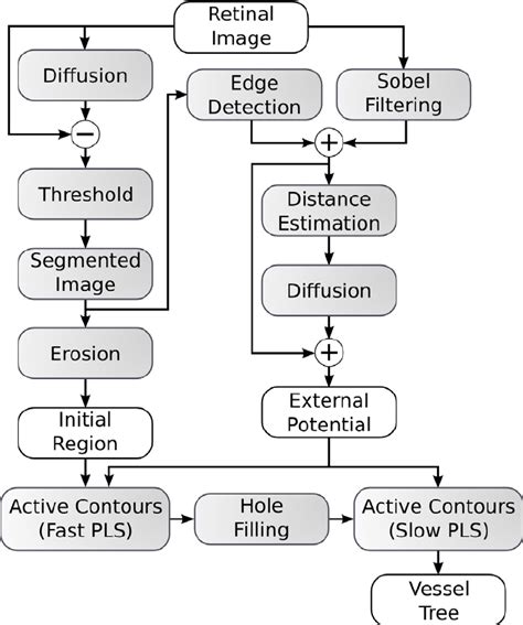 Block Diagram Of The Retinal Vessel Tree Extraction Algorithm Download Scientific Diagram