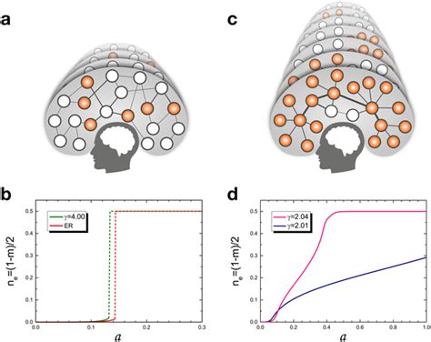 Phase Diagrams Plos One