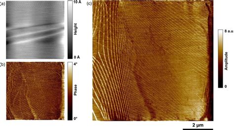 Example Of Large Scale Mapping Of Moiré Superlattice A Lateral Pfm Download Scientific Diagram