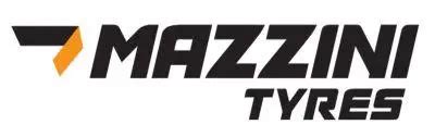 Mazzini Snow Leopard 2 255/40 R19 100 V XL | Oponeo.co.uk