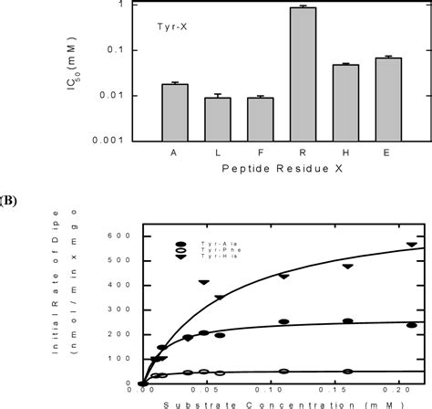 Figure 5 From Production And Utilization Of Peptides In Lactococcus Lactis Semantic Scholar
