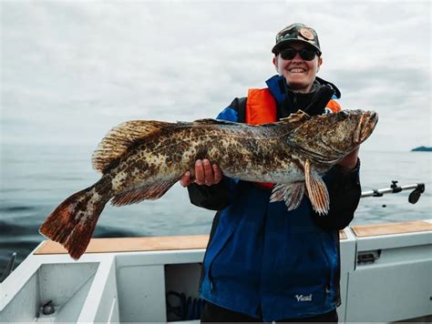 Ling Cod Sandspit Adventures
