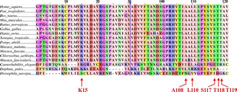 Interspecies Toxicity Analysis Of Pfass In 13 Test Species Using