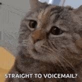 Voicemail S Tenor