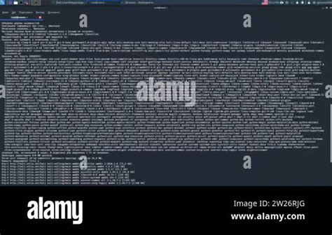 Kali Linux Stock Videos And Footage Hd And 4k Video Clips Alamy