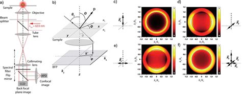 A Example Of A Setup For Back Focal Plane BFP Imaging And Download Scientific Diagram