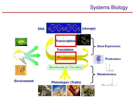 Ppt Big Data Challenges In Genomics Powerpoint Presentation Free Download Id 1605330