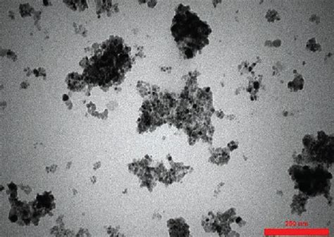 The FESEM A And B And TEM Images C And D Of Green Synthesized AgNPs Download Scientific