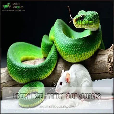 What Do Green Tree Pythons Eat Surprising Diet Of These Emerald Hunters