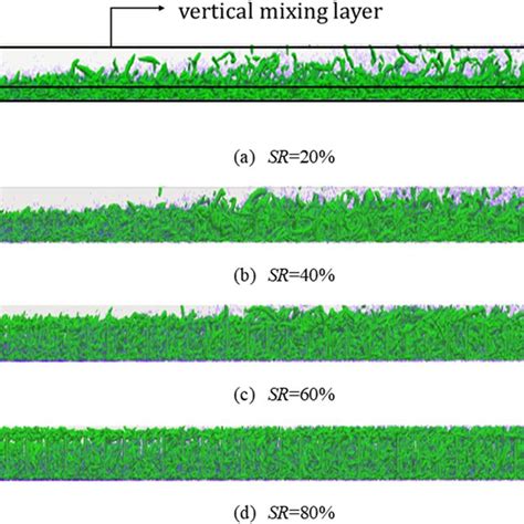 The Sideview Of The Particle Distribution And Turbulent Structures Over Download Scientific
