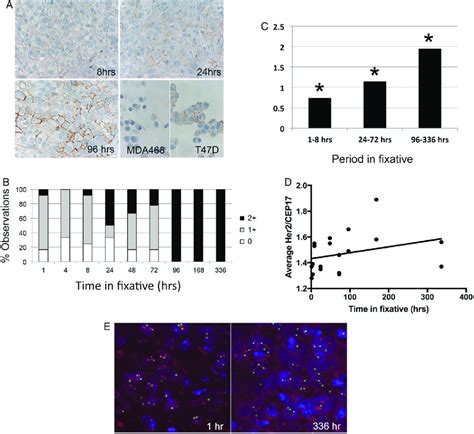 Increasing Time In 10 Neutral Buffered Formalin Increases The Download Scientific Diagram
