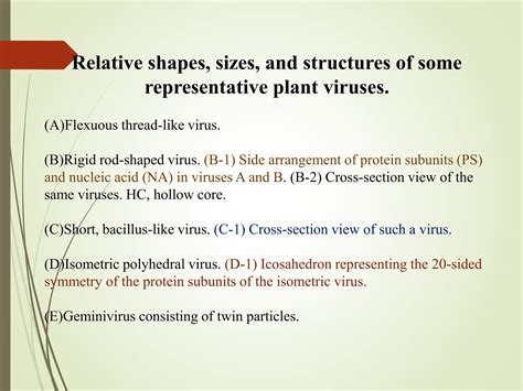 Virus Classification Of Plant Virus In Virus Pptx