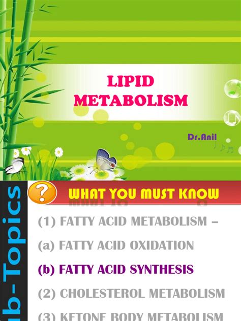 4 Fa Syn Pdf Biosynthesis Nutrients