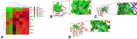 Molecular Docking Result A Heatmap Of Molecular Docking Result B