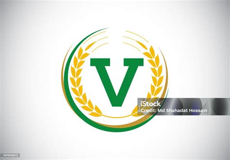 밀 귀 화환이 있는 첫 글자 V 기호 기호 유기농 밀 로고 디자인 개념 농업 로고 디자인 벡터 템플릿입니다 개념에 대한 스톡