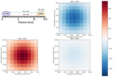 1 Connection Strengths In The Spatiotemporal Model Used In The