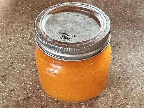 Apricot Jam Recipe Vegan Girls Guide