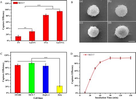 ctcs capture performance a cell capture efficiency on different