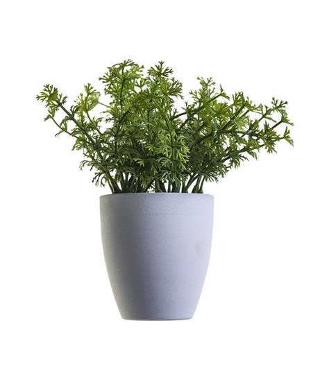 ההבדלים בין צמחיה מלאכותית לצמחיה חיה השוואה מלאה גולן