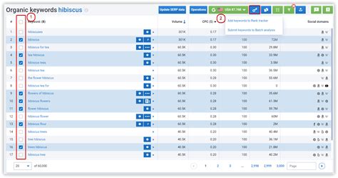Analyze Keywords And Get Seo And Backlink Metrics With Serpstat
