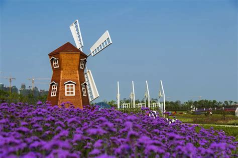 呼市景点鲜花岛 呼市景区有哪些景点 呼市景点 大山谷图库